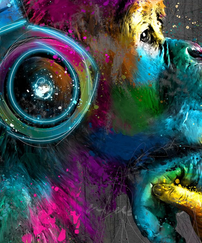Tableau déco Singe casque musique Pop Art Multicolor - Tableau Deco